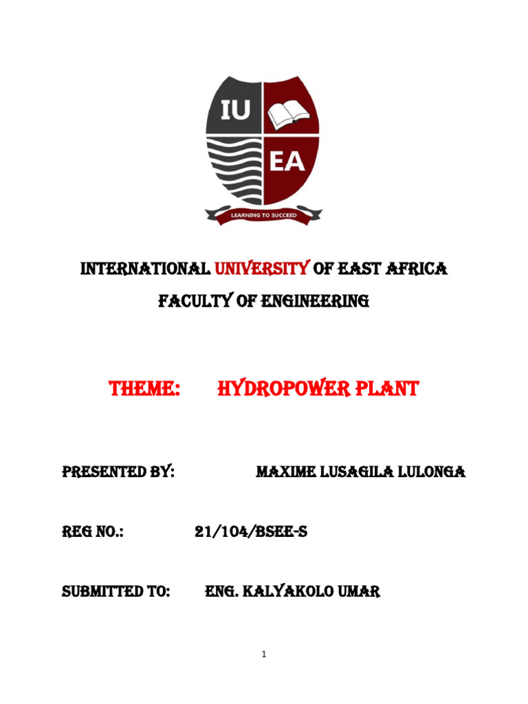 Hydro Power | PDF | Hydroelectricity | Power Station