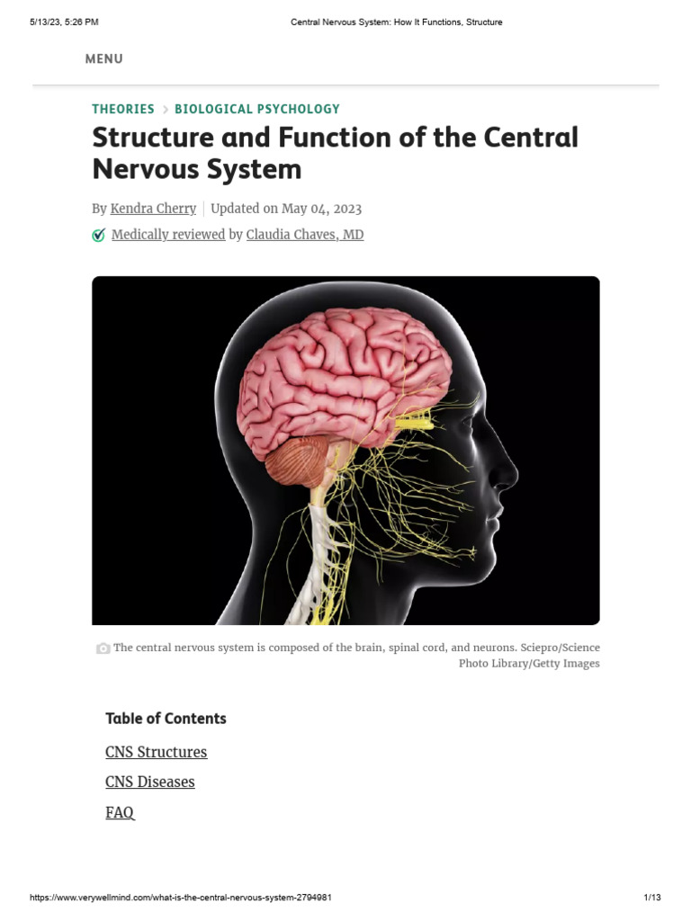 Central Nervous System_ How It Functions, Structure | PDF