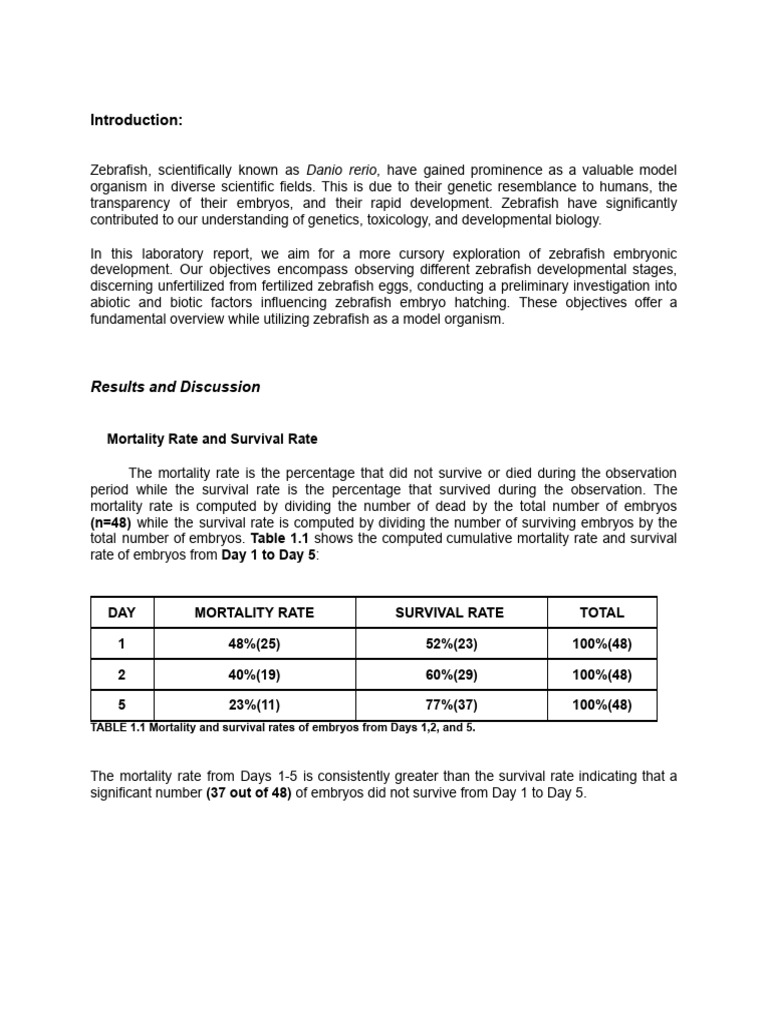 Zebrafish Embryonic Development Study | PDF
