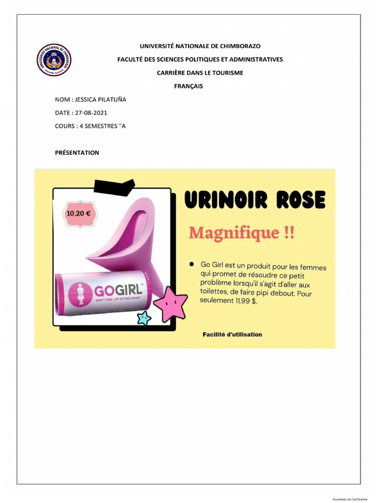 Urinoir Rose - JessicaPilatuña | PDF