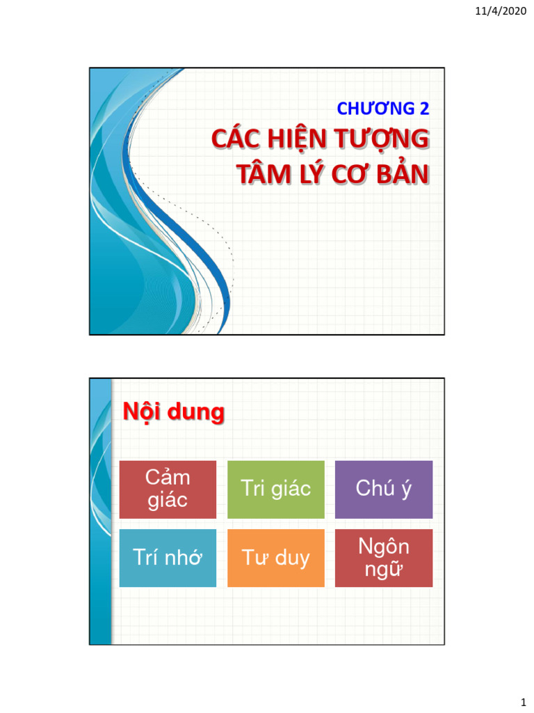 TLH DC - Chuong2.2020.Nhan Thuc | PDF