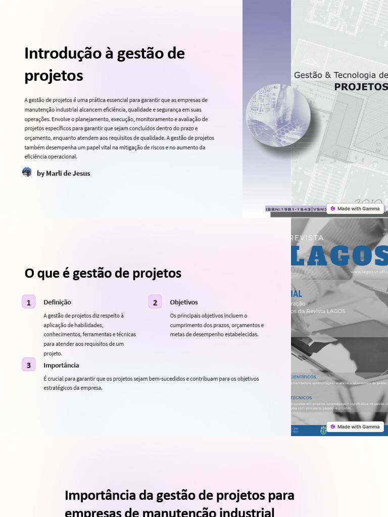 Introducao A Gestao De Projetos Pdf