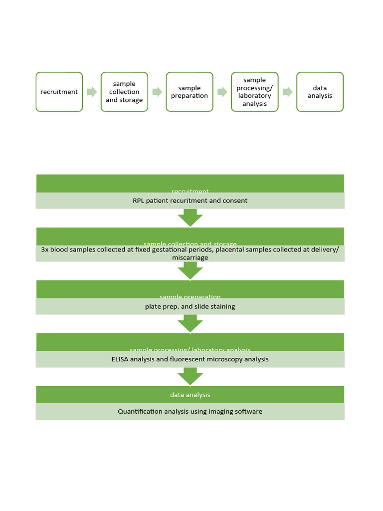 Methodology Flwo Chart | PDF