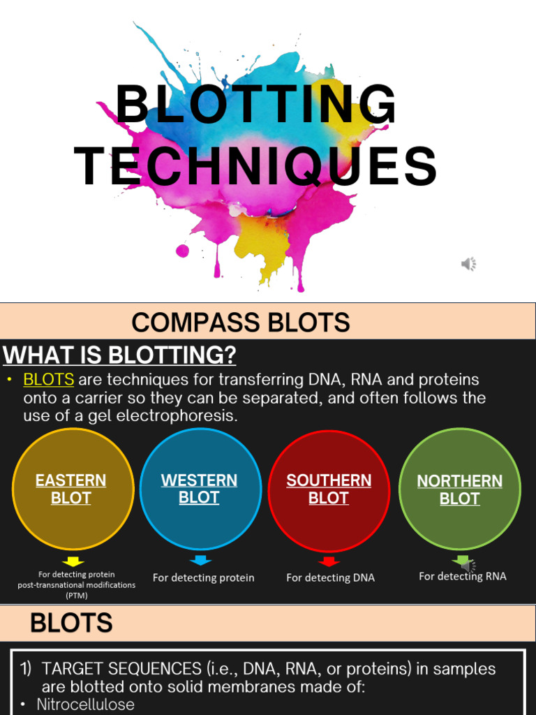 BLOTTING Techniques | PDF | Wellness | Science & Mathematics
