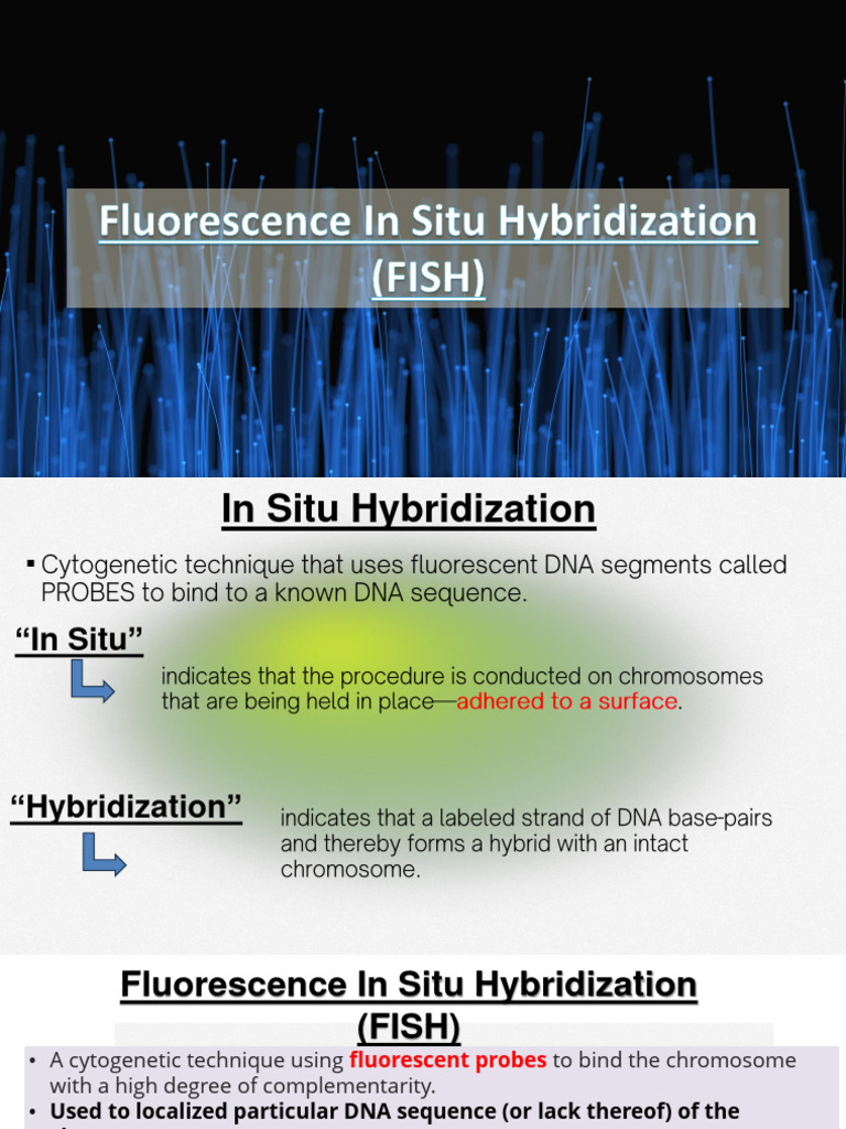 Fish Technique | PDF | Fluorescence In Situ Hybridization | Chromosome
