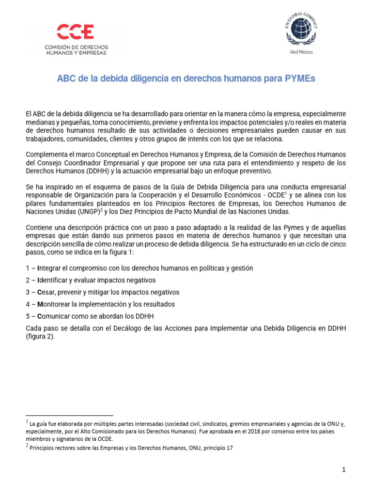 ABC de La Debida Diligencia en Derechos Humanos para PyMEs | PDF | Business | Derechos humanos