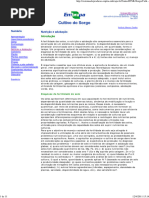 Concorde ICL Brazil | PDF | Agricultura