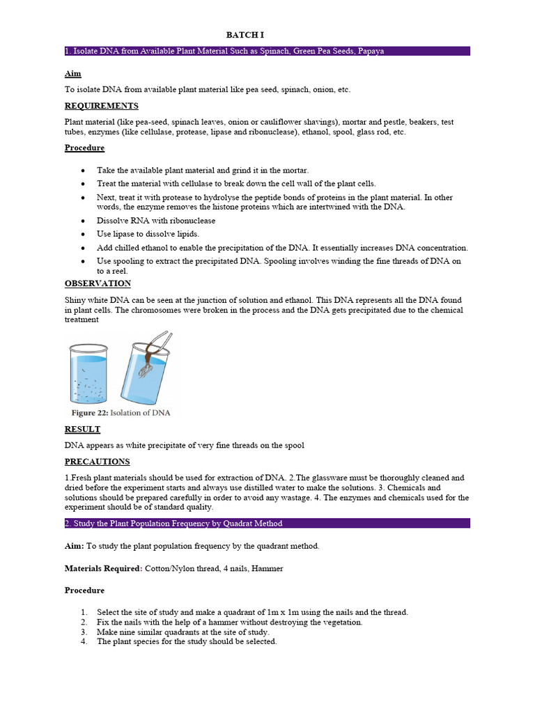 Batch I Answers Pdf Mitosis Biology