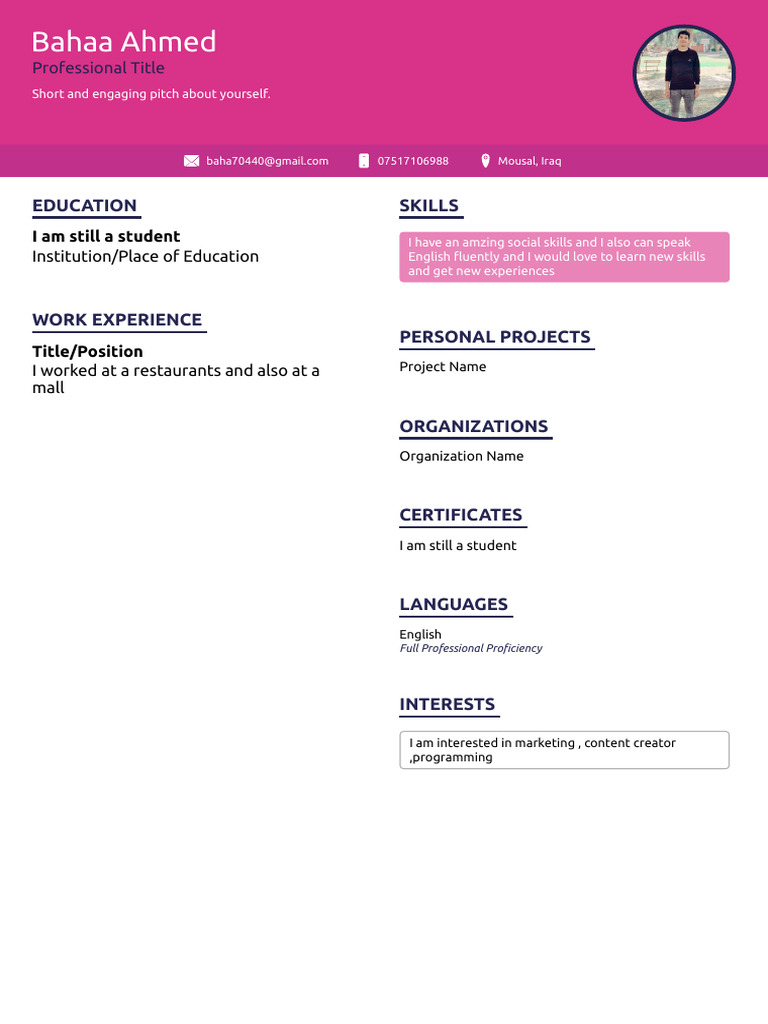 Bahaa's Resume | PDF