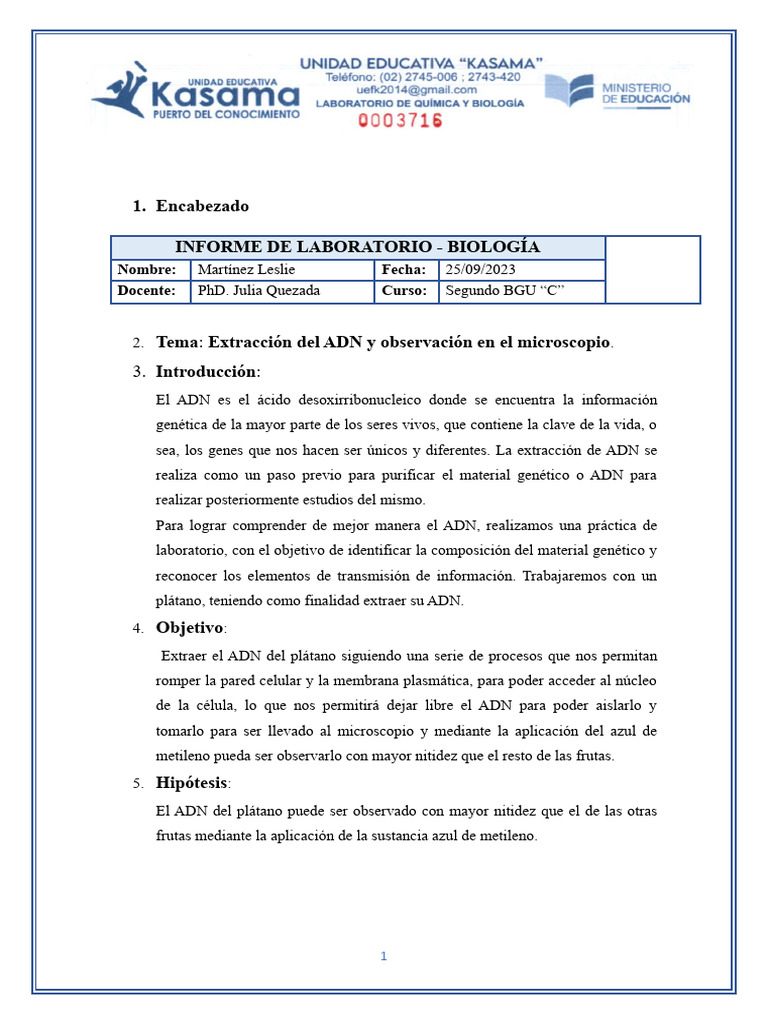 Informe de Laboratorio Extración Del Adn. | PDF | Adn | Biología Celular)