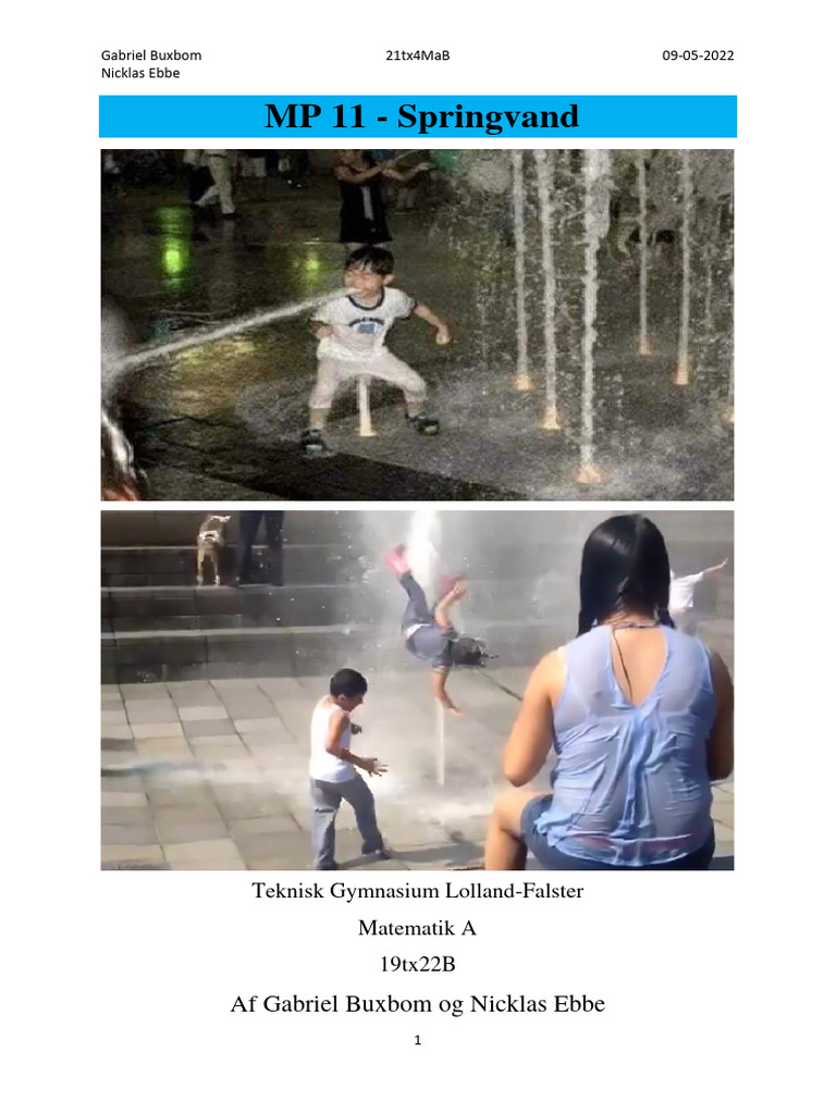 Springvand MP 11 | PDF
