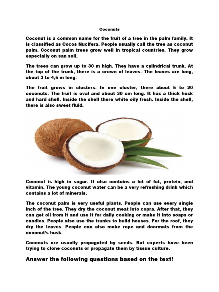Coconuts | PDF | Coconut | Trees