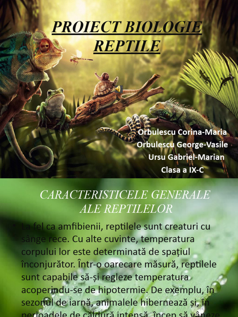 Proiect Biologie Reptile | PDF