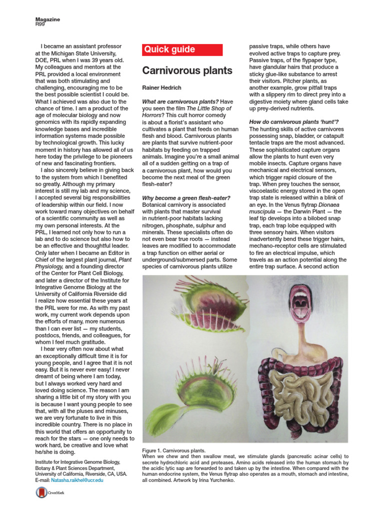 Quick Guide Carnivorous Plant | PDF | Plants | Organisms