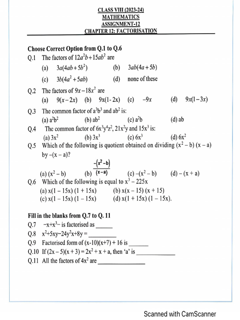 VIII MATHS 12 Factorisation-1 | PDF