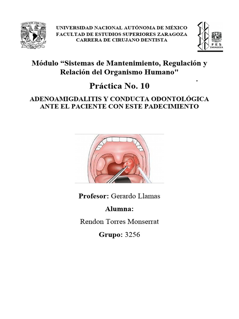 Práctica 10 Rendon Torres Monserrat | PDF | Odontología | Respiración