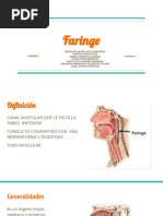Anatomía y Fisiología de La Rinofaringe, Orofaringe e Hipofaringe | PDF ...
