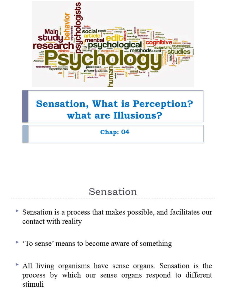 Understanding Sensation and Perception | PDF | Perception | Senses