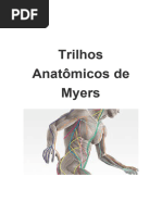 Musculos Quadril Tabela | PDF | Quadril | Anatomia dos membros inferiores