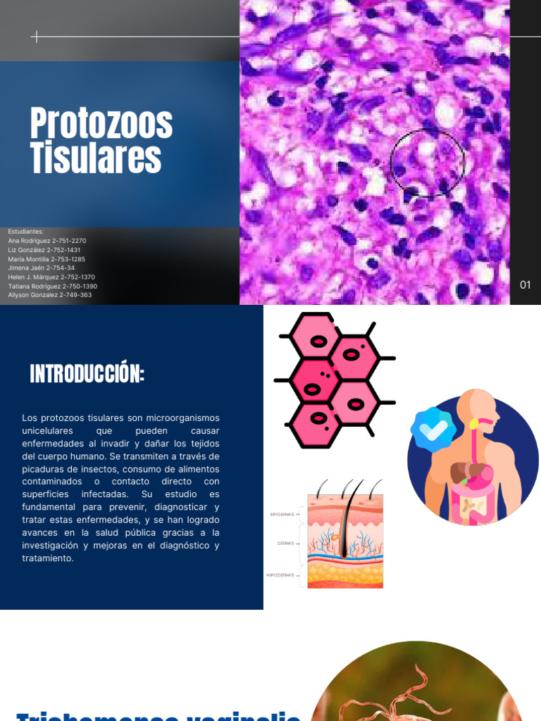 Protozoos Tisulares | PDF | Microbiología | Medicina CLINICA