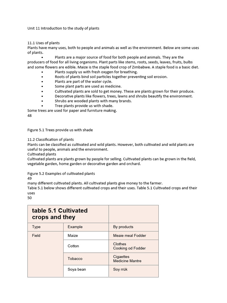 Plants Notes | PDF | Plants | Trees