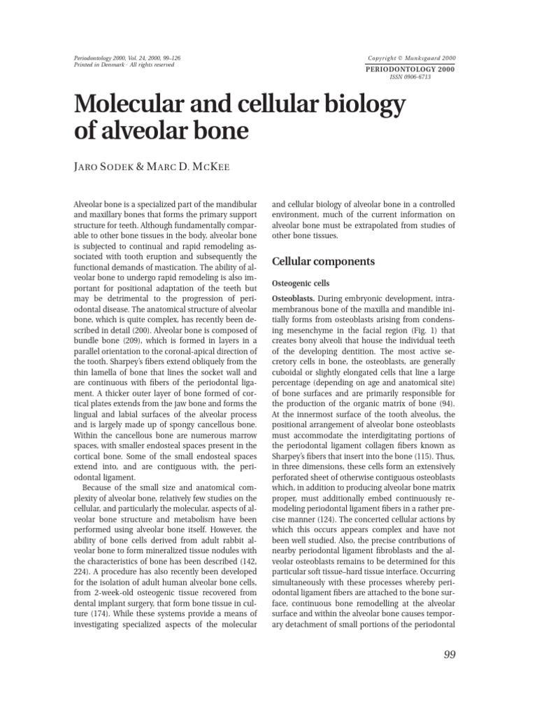 Hueso Pdf Bone Osteoblast