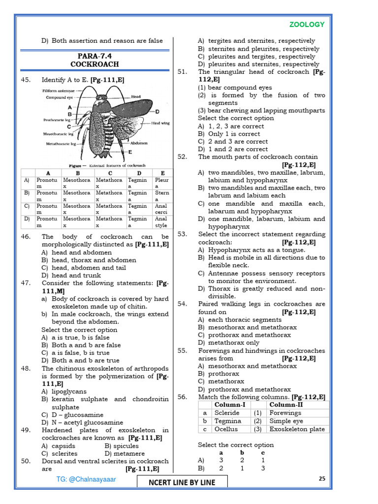Cockroach and Frog | PDF | Organ (Anatomy) | Arthropodology