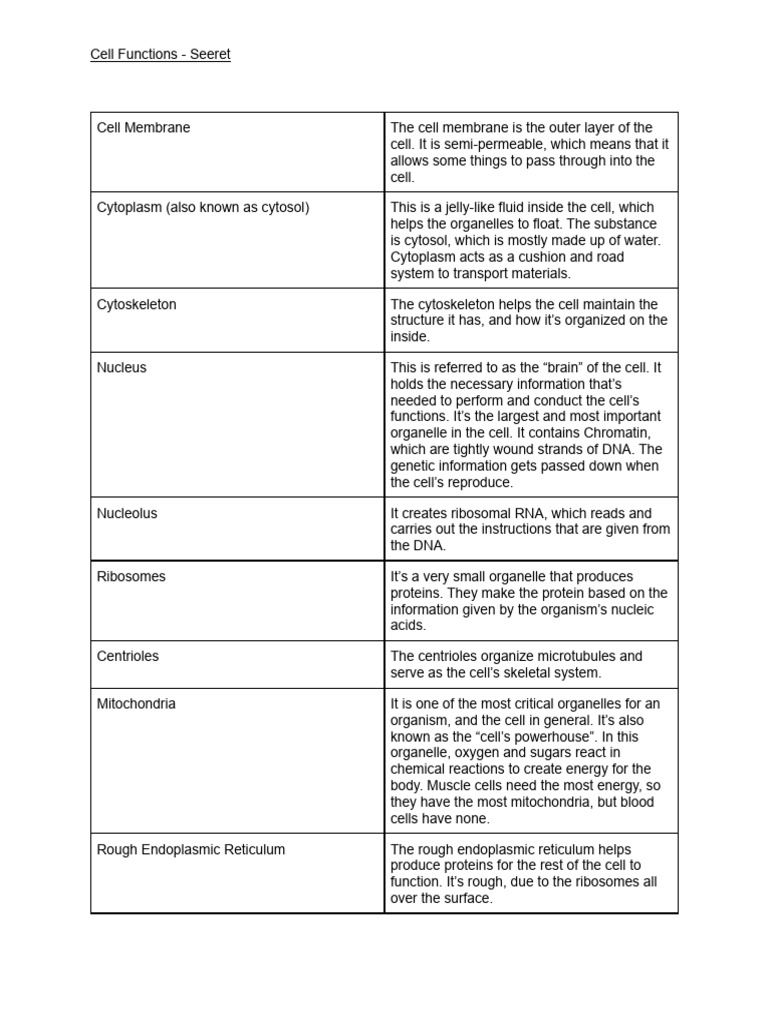 Animal Cell Project | Download Free PDF | Cell (Biology) | Endoplasmic ...