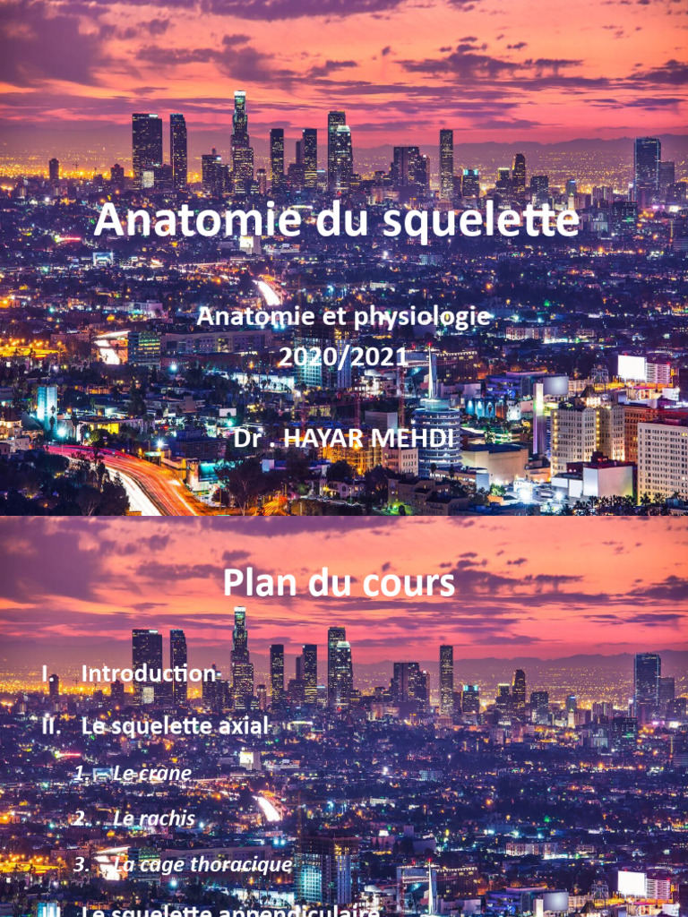 Anatomie du Squelette Humain: Axial et Appendiculaire | PDF | Colonne vertébrale | Vertèbre