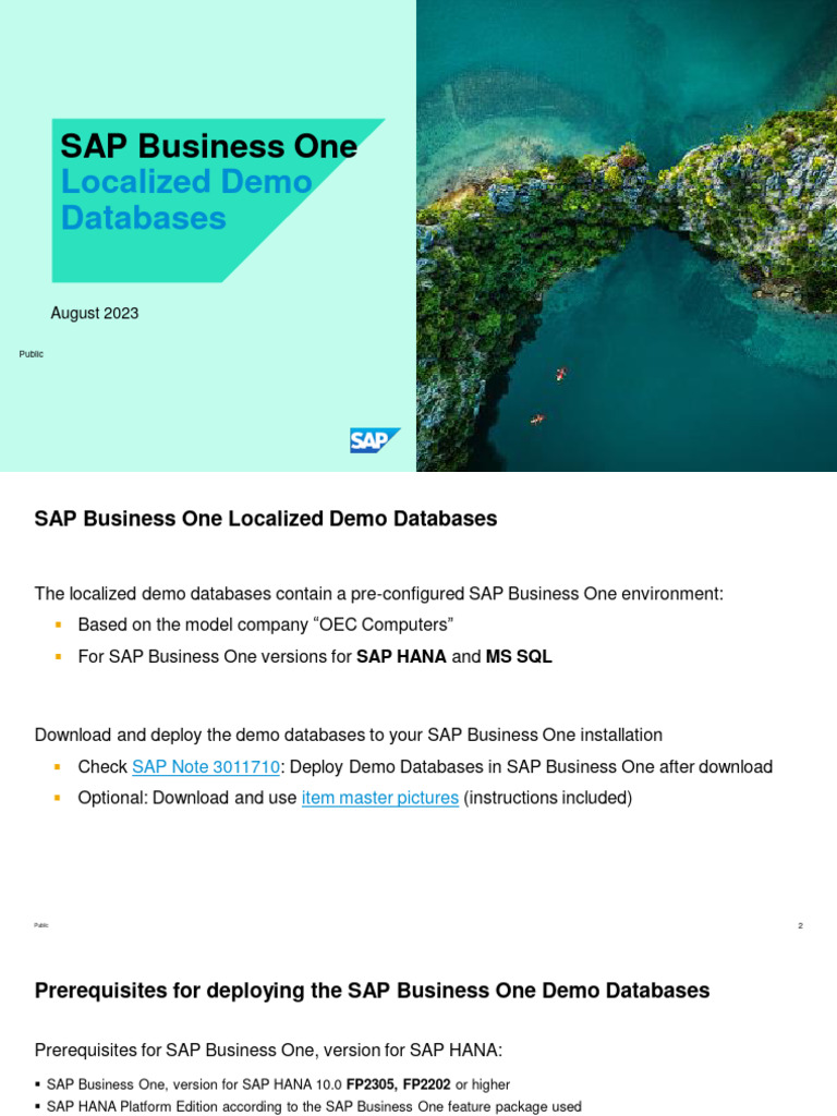 B1 Demo Databases Overview | PDF | Databases | Computing
