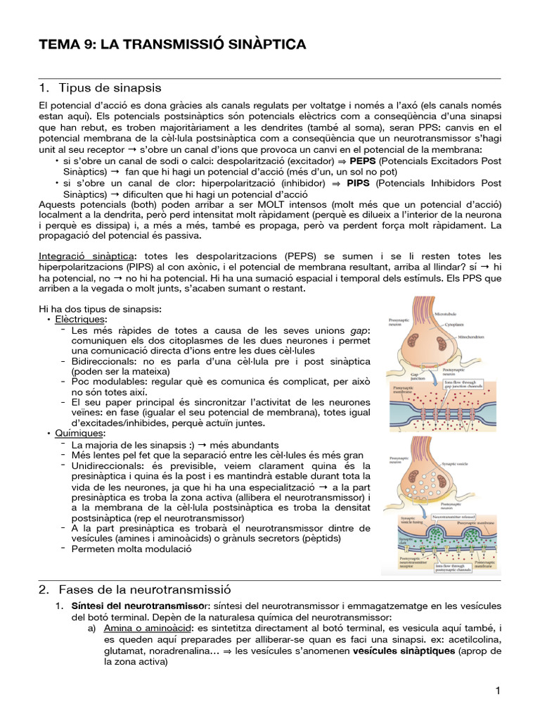 Tema 9 Bio PDF | PDF