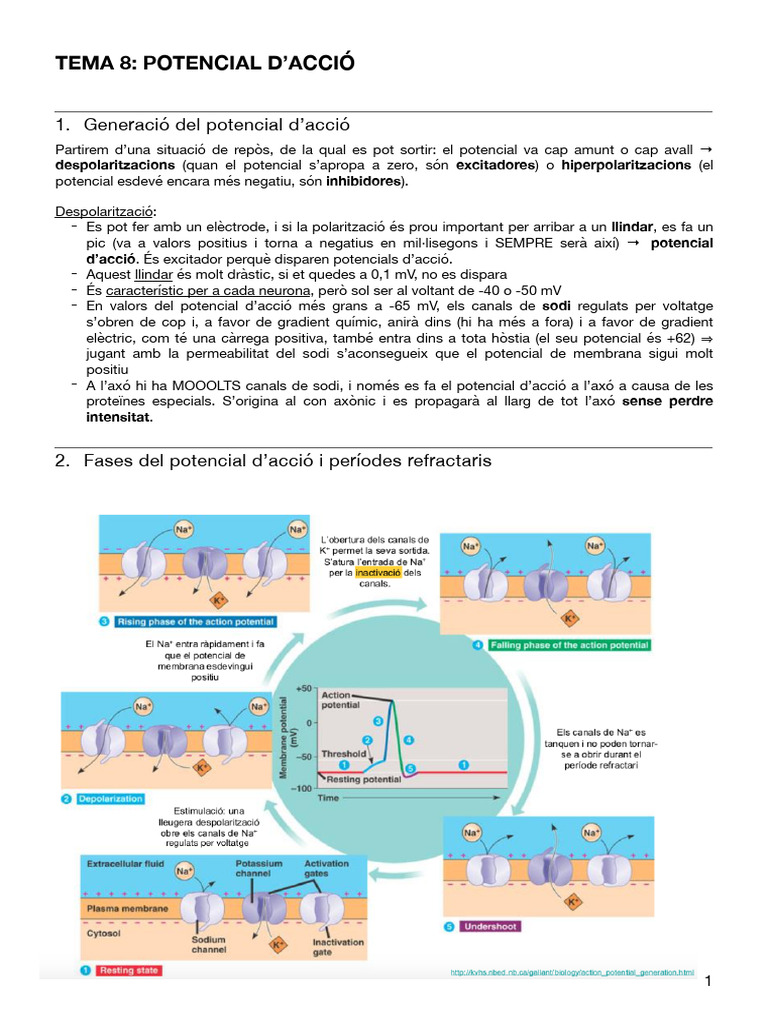 Tema 8 Bio PDF | PDF