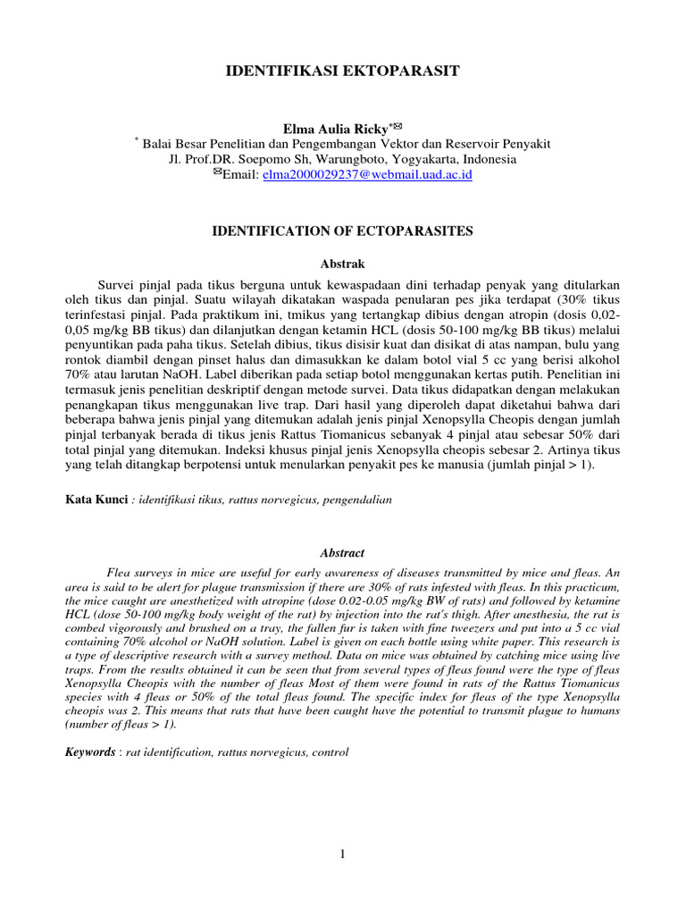 Identifikasi Ektoparasit Tikus | PDF