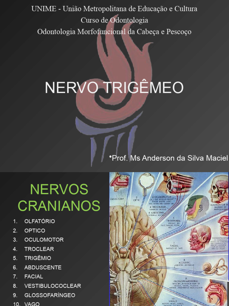 Inervação Nervo Trigemeo | PDF | Rosto | Sistema nervoso