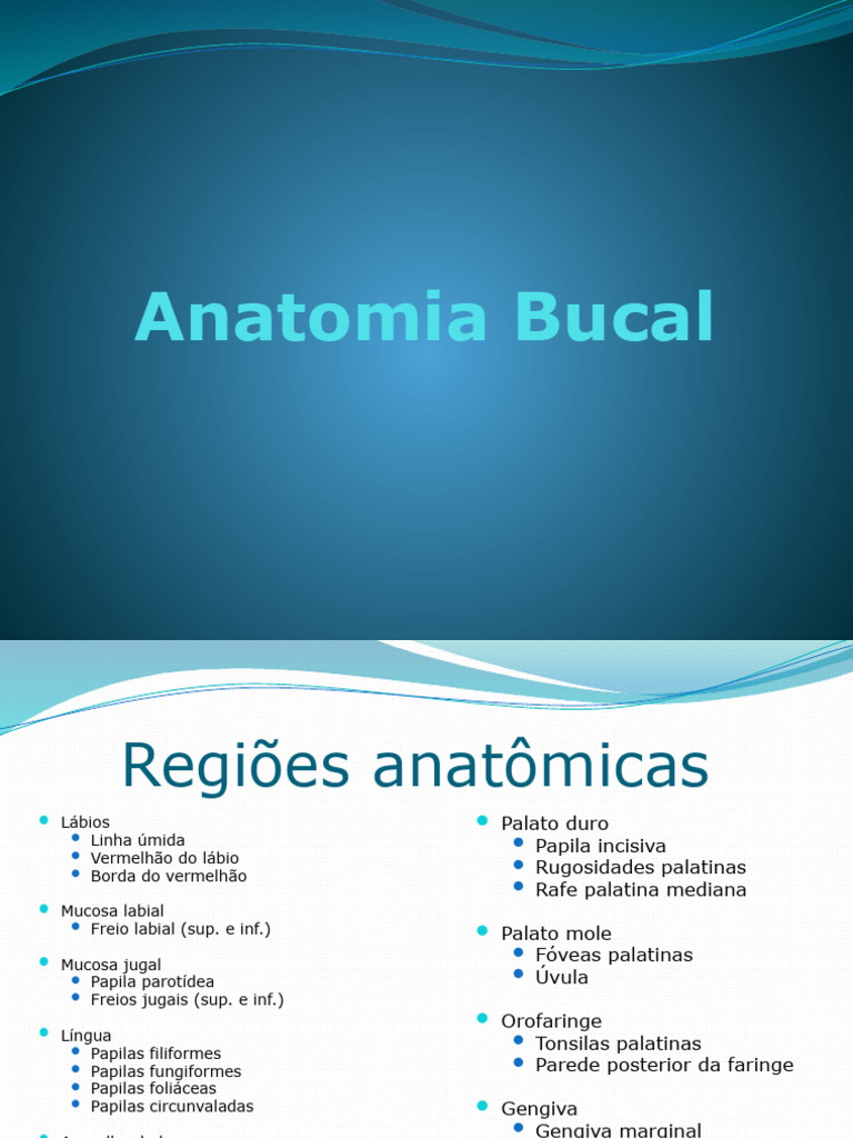 Anatomia da Cavidade Bucal | PDF | Língua | Boca