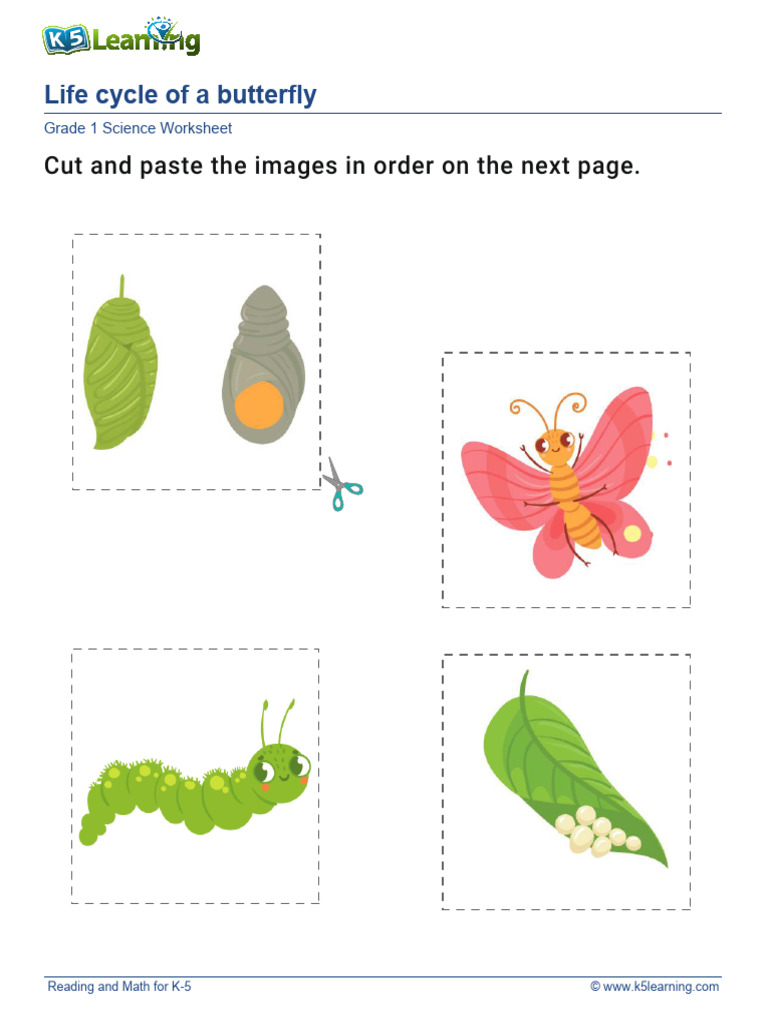 Grade 1 Animal Life Cycle c | PDF