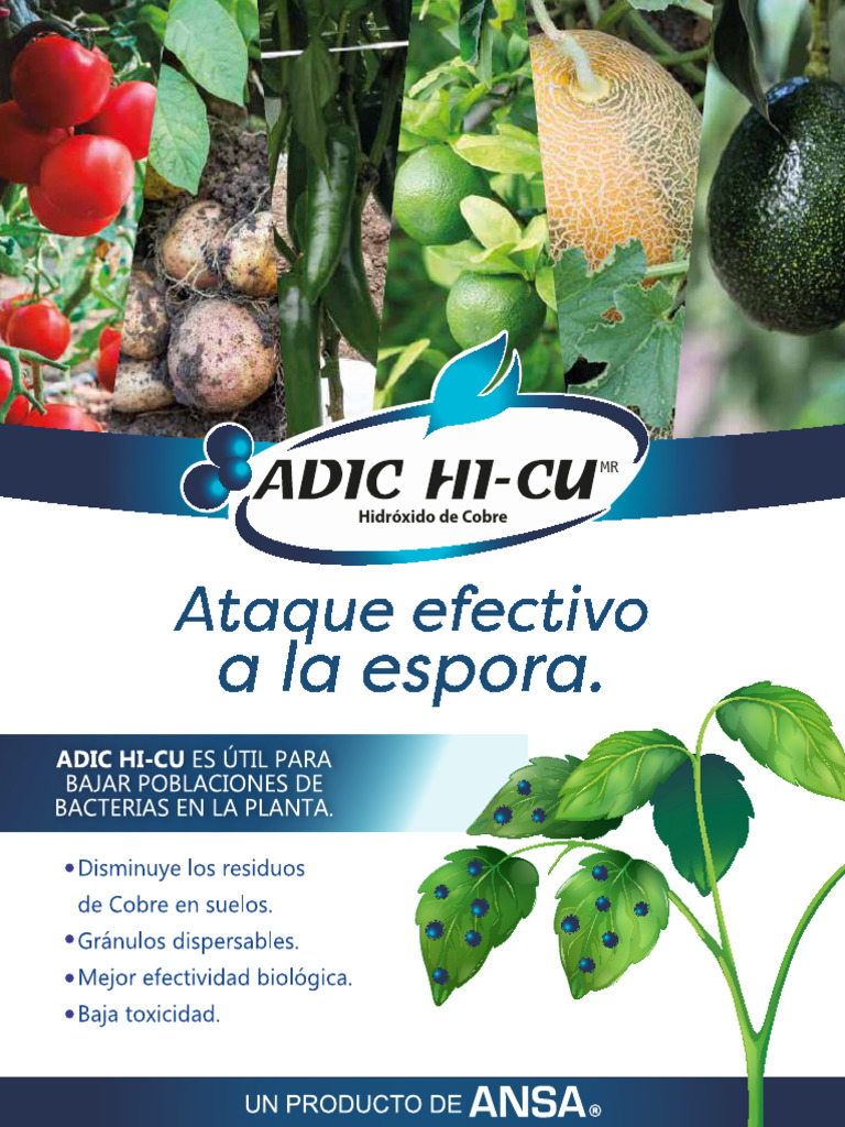 Adic Hi Cu | PDF
