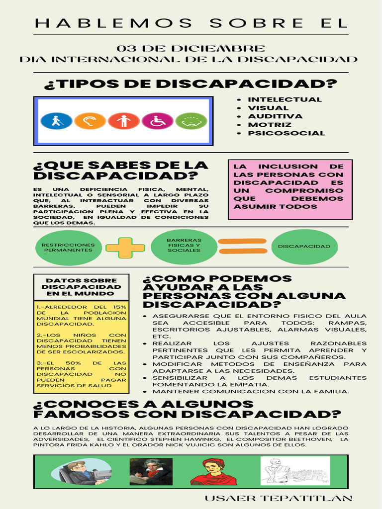 Infografía DISCAPACIDAD | PDF | Invalidez