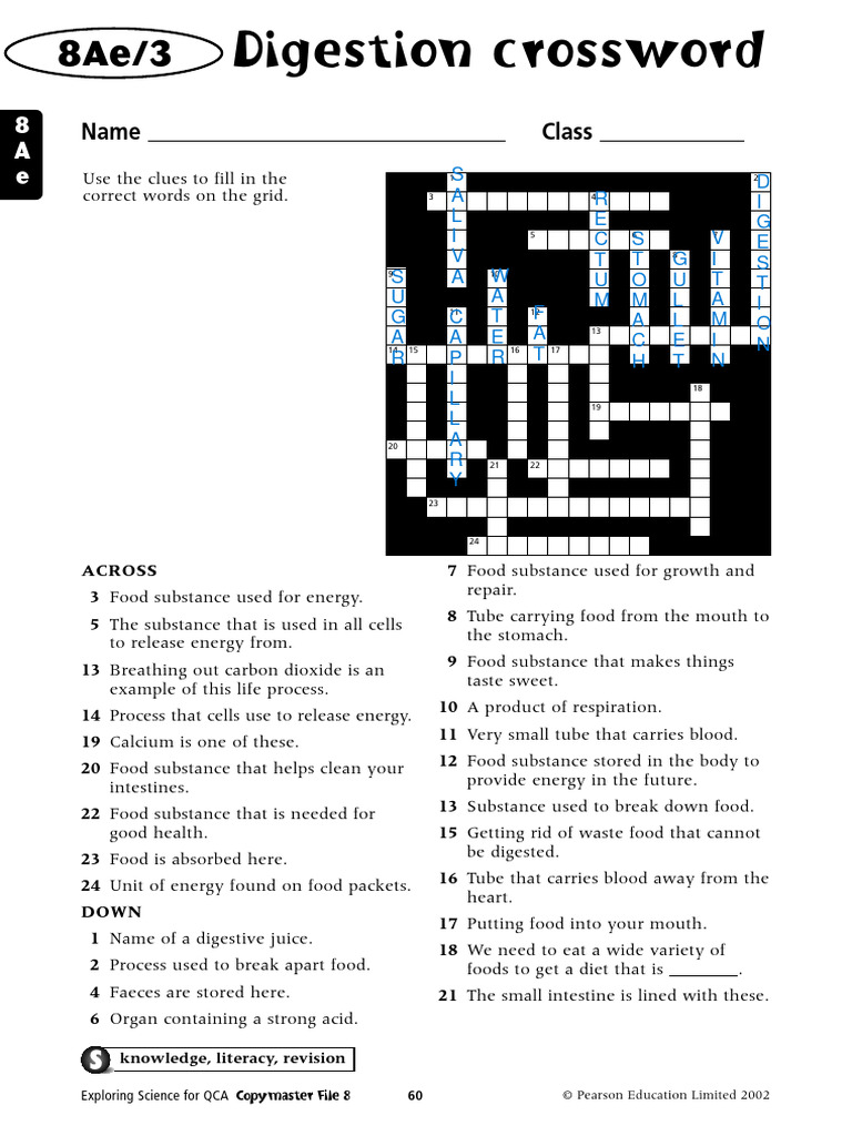 2 Digestion Crossword | PDF | Foods | Digestion