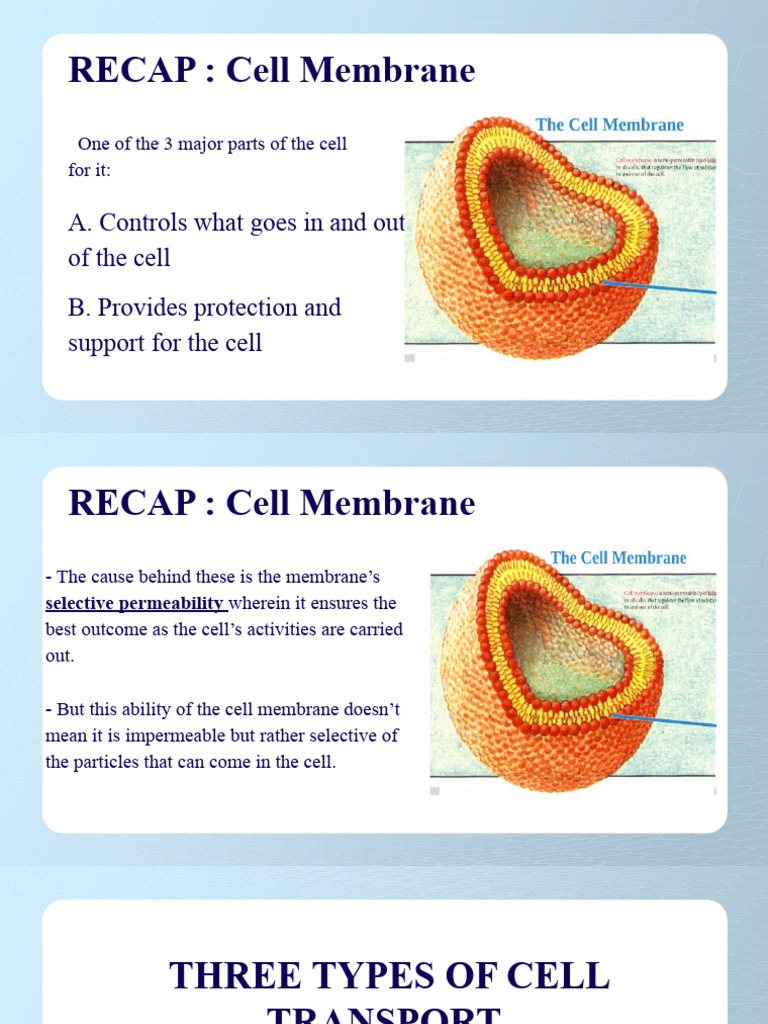 10 3 Types of Cell Transport - Passive Transport | PDF | Osmosis | Cell ...