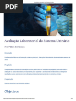 Como é feito o sumário de urina | PDF | Rim