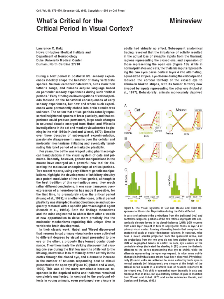 What's-Critical-for-the-Critical-Period-in-Visual- | PDF | Long Term ...