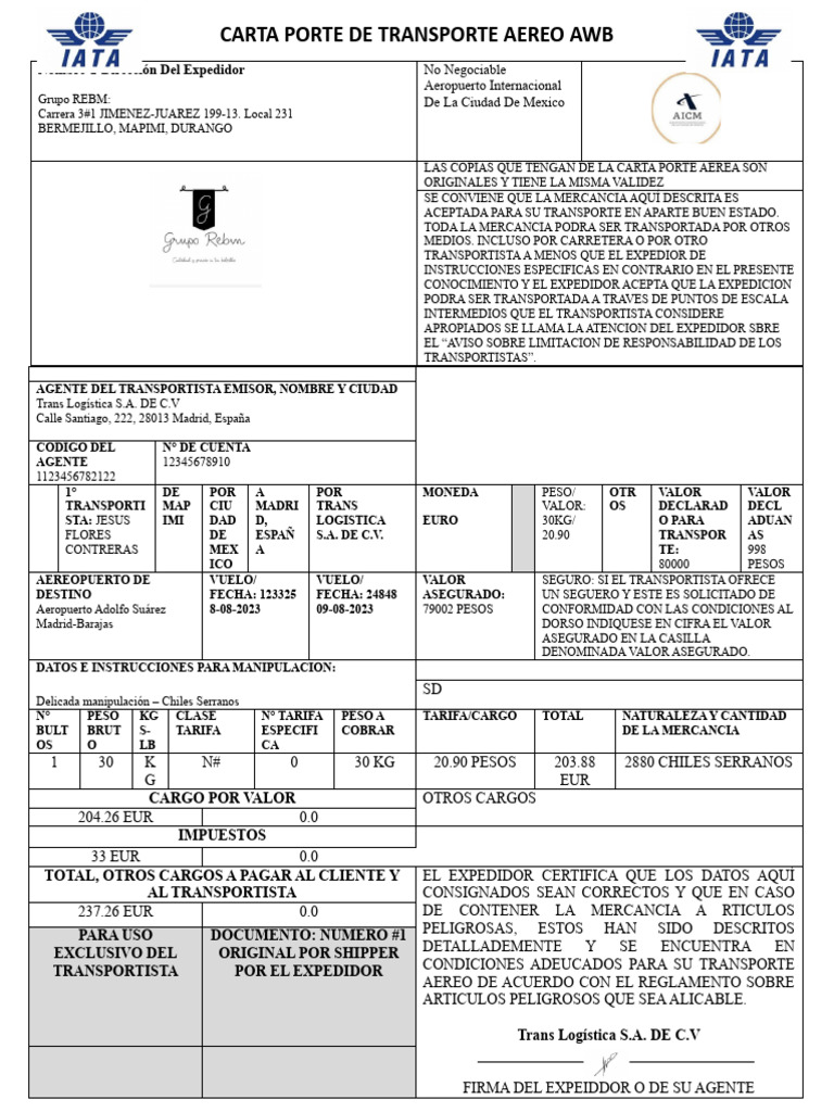 Carta Porte de Transporte Aereo Version Final | PDF