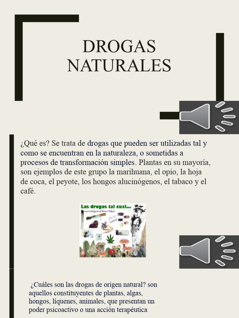 Drogas naturales | PDF | Drogas | Alucinógeno