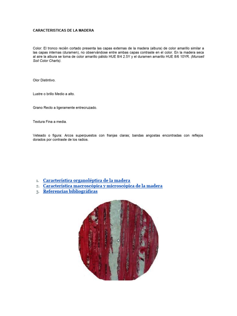 Caracteristicas de La Madera | Descargar gratis PDF | Tallo de la ...