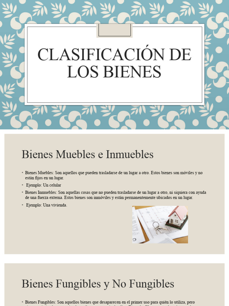 Clasificación de Los Bienes | PDF | Bienes | Naturaleza