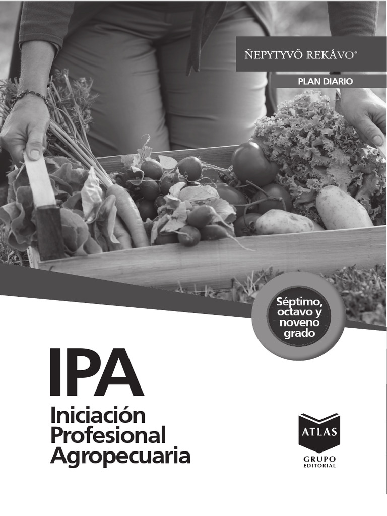 IPA Plan Diario | PDF | Evaluación | Horticultura