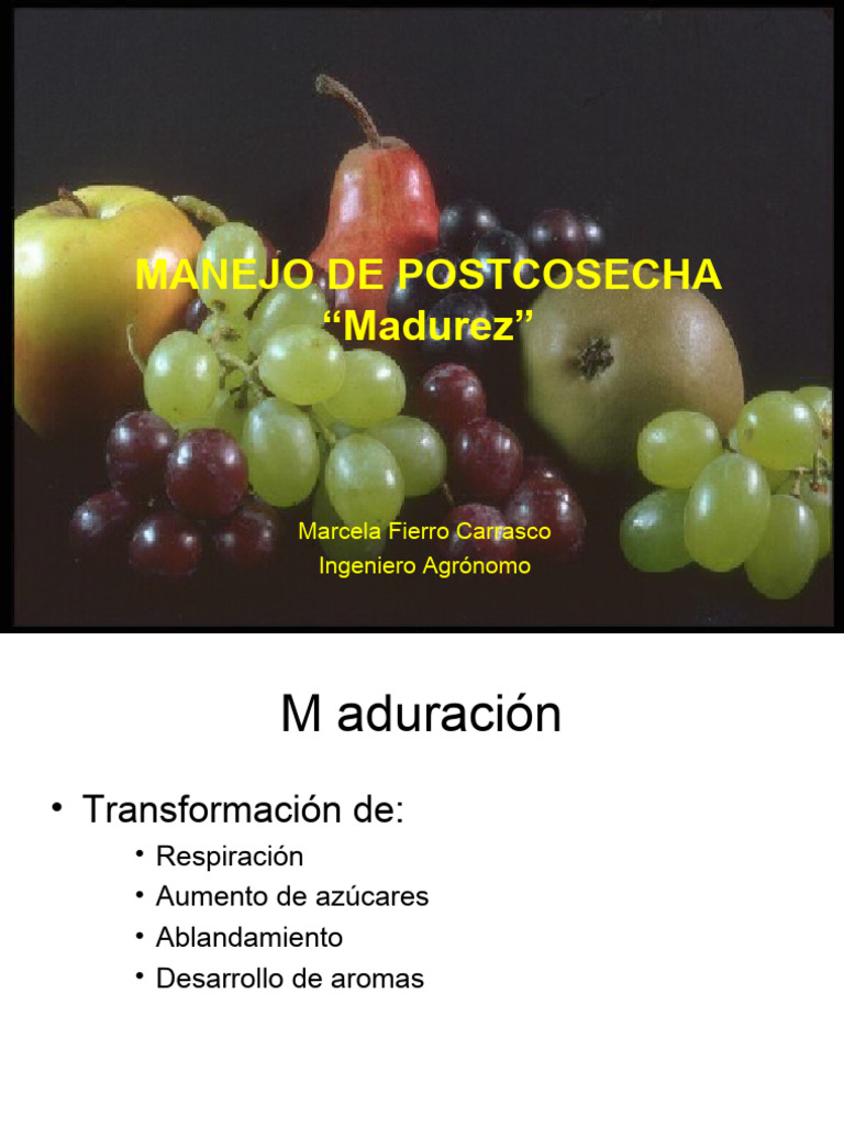 Manejo de Postcosecha | PDF | Respiración | Dióxido de carbono
