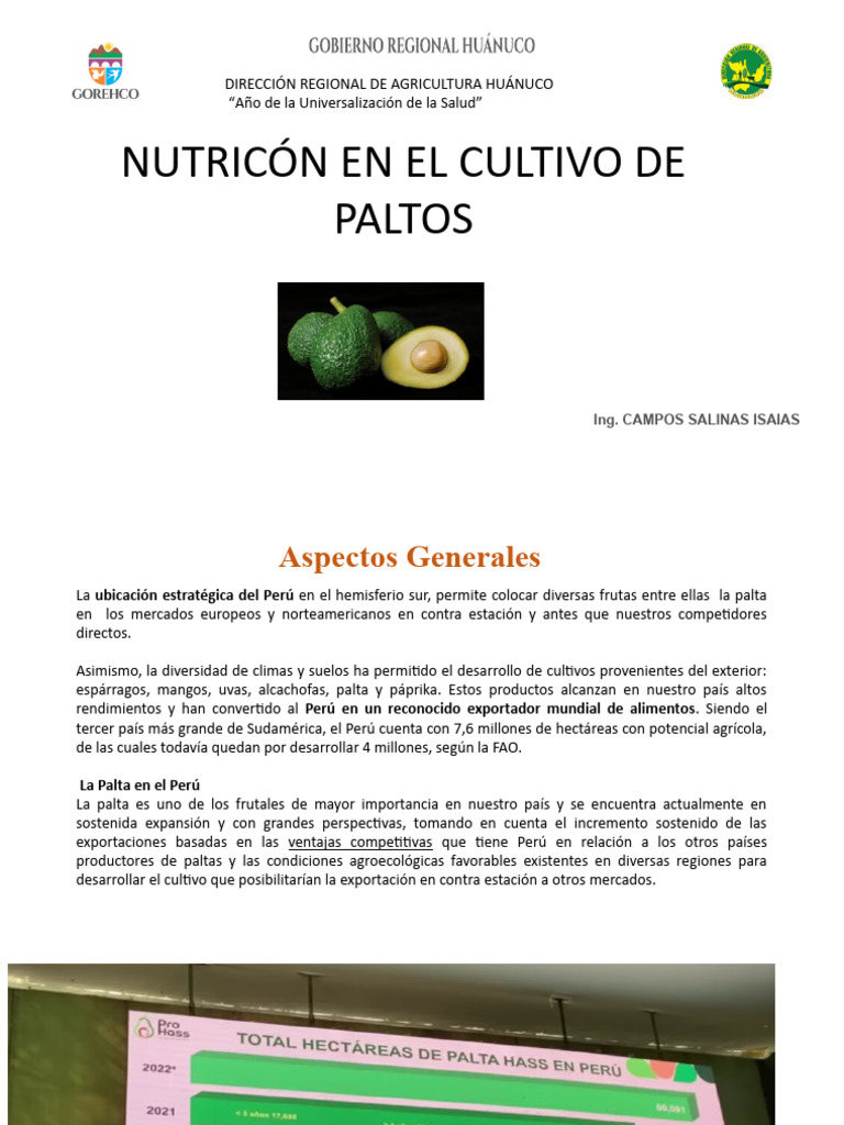 Nutrición y Cultivo de Paltos en Perú | PDF | Aguacate | Perú