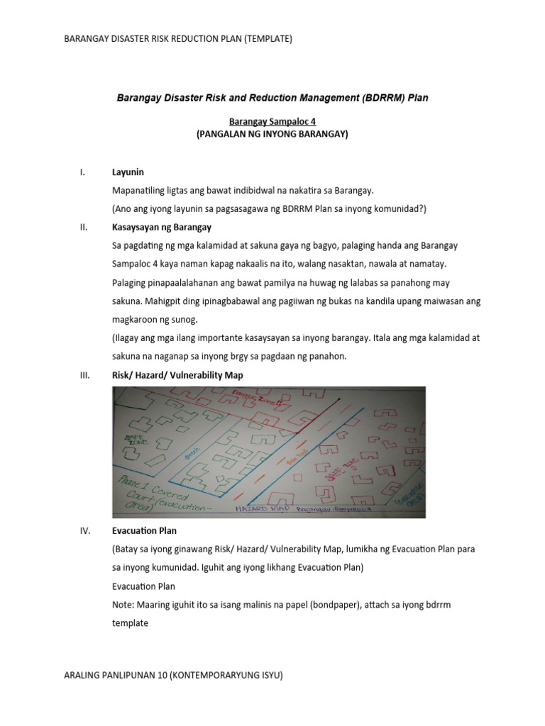 Barangay Disaster Risk and Reduction Management | PDF